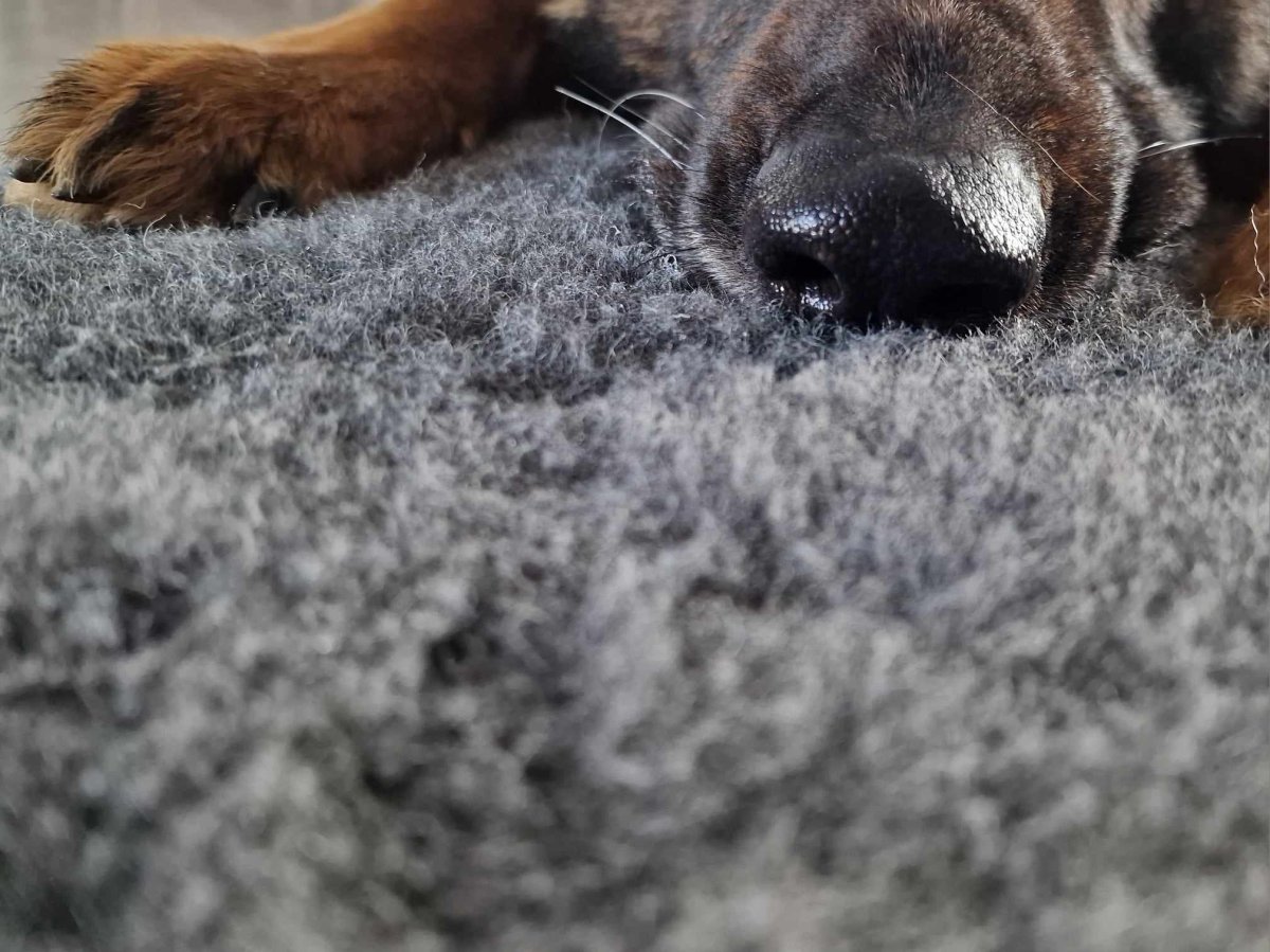 Vetbed 100 % Ren Britisk Uld - Small - Uld Vetbed hundetæpper - ABC ...