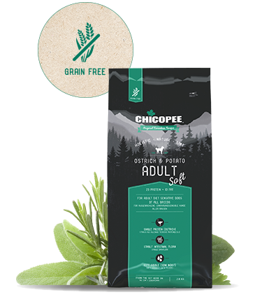 Sensitiv | Hundefoder til sensitive hunde | ABC hundeudstyr